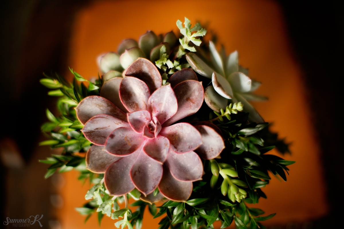 Ty & Mallory Got Married » Summer Kellogg Photography Blog